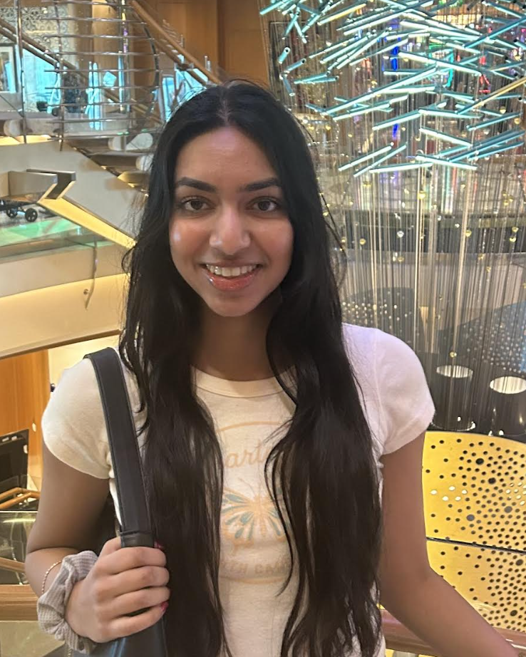 Simran Agarwal - DC Witness